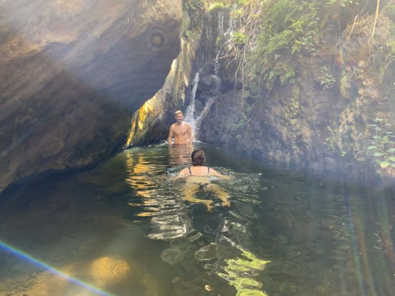 Gran Canaria: Guided Day Tour to Rainforest with Tasting - Guides and Guest Feedback