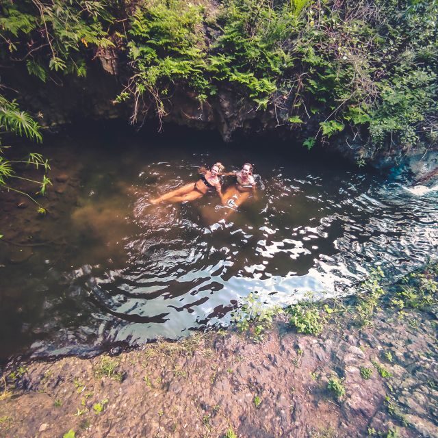 Gran Canaria: Guided Day Tour to Rainforest with Tasting - Who Will Love This Tour?