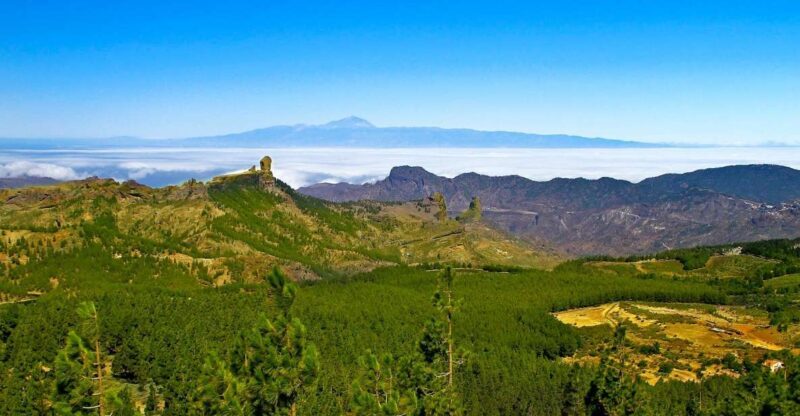 Gran Canaria Highlights Full-Day Tour by Bus - Convenient Pick-up & Modern Transport