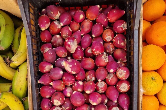 Gran Canaria Highlights Private Tour VIP - Timing and Practical Tips