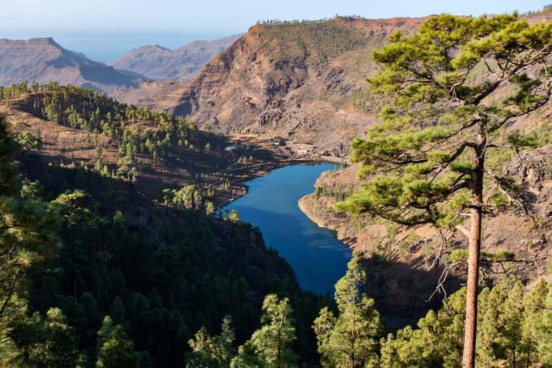 Gran Canaria: Island Highlights Tour with Optional Lunch - An In-Depth Look at the Tour Experience
