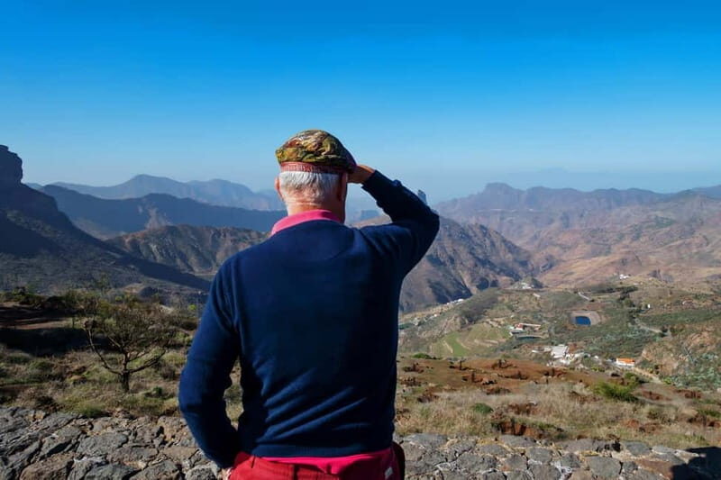 Gran Canaria: Island Highlights Tour with Optional Lunch - Final Thoughts: Who Will Love This Tour?