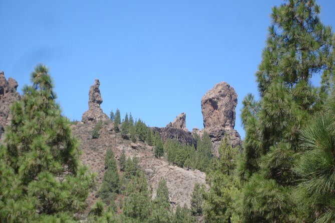 Gran Canaria Peaks Full-Day Tour from Las Palmas - Who Will Love This Tour?
