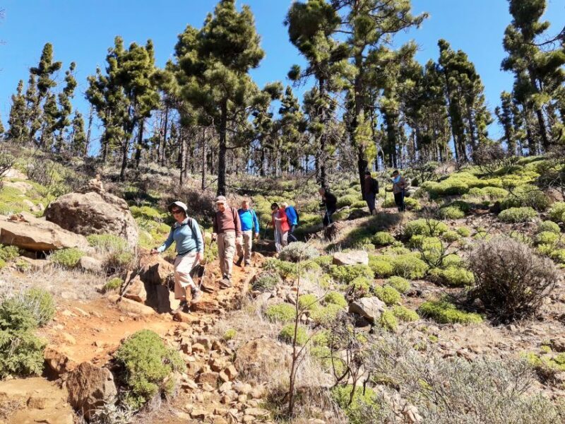 Gran Canaria: "Peaks of Gran Canaria" Hiking Tour - Who Should Consider This Tour?