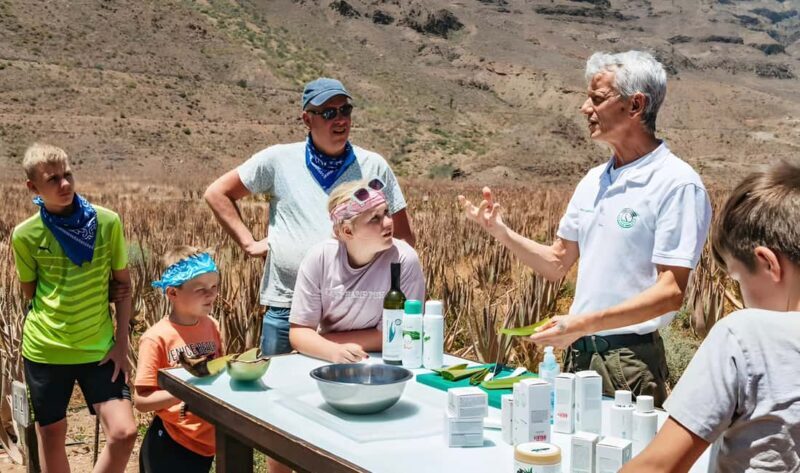 Gran Canaria: Premium Safari 4x4 Tour with Local Guide - The Sum Up