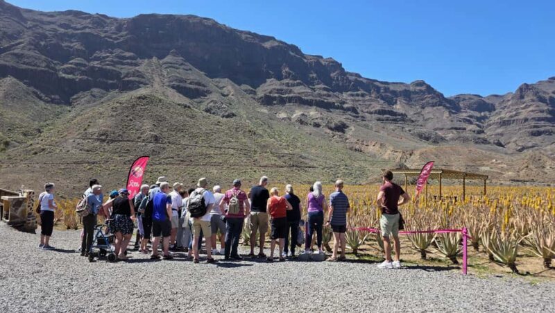 Gran Canaria: Premium Safari 4x4 Tour with Local Guide - Frequently Asked Questions
