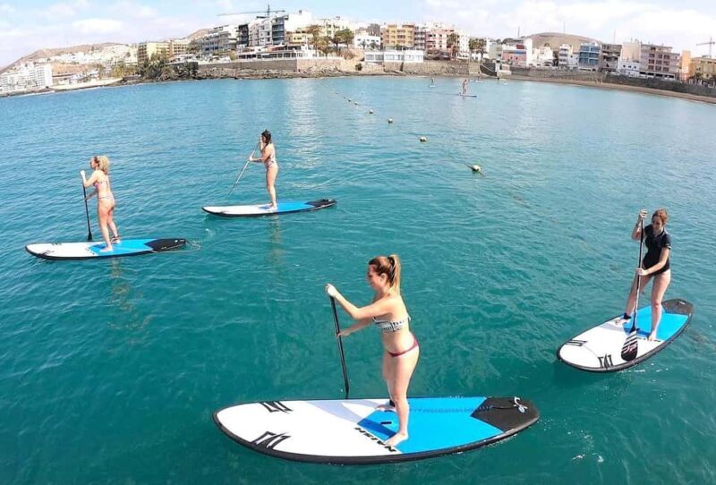 Gran Canaria, Premium Stand Up Paddle Board Experience. - Authentic Reviews: What Real Travelers Say