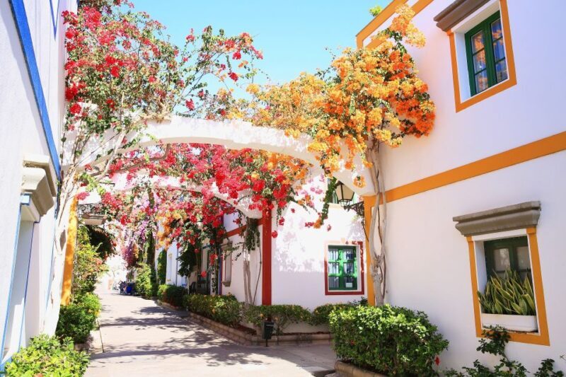 Gran Canaria: Puerto de Mogán Local Market Day Trip - What Travelers Say: Honest Feedback and Insights