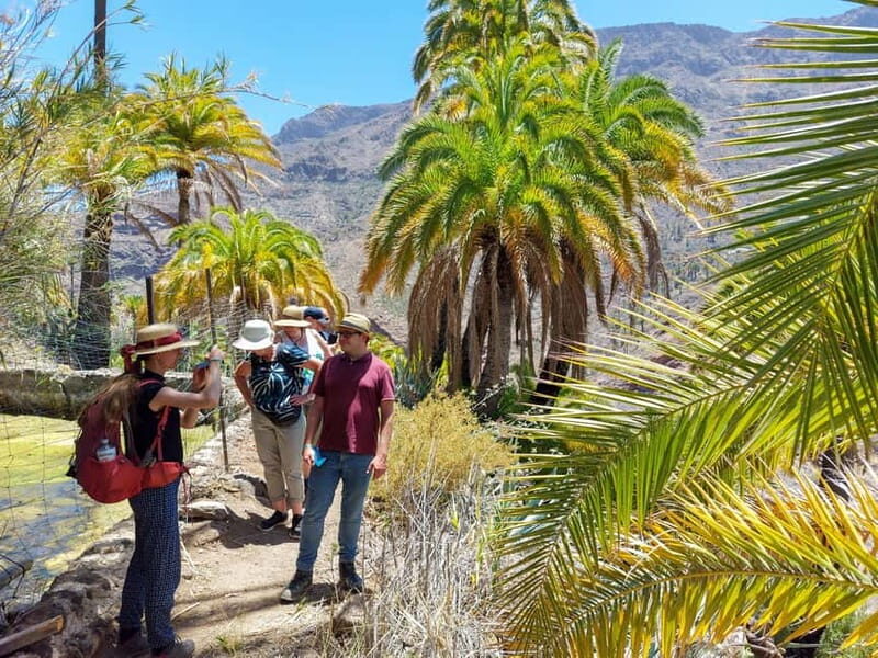 Gran Canaria: Red Gorge, Cave, Oasis Adventure Tour & Picnic - Final Thoughts: Who Will Love This Tour?