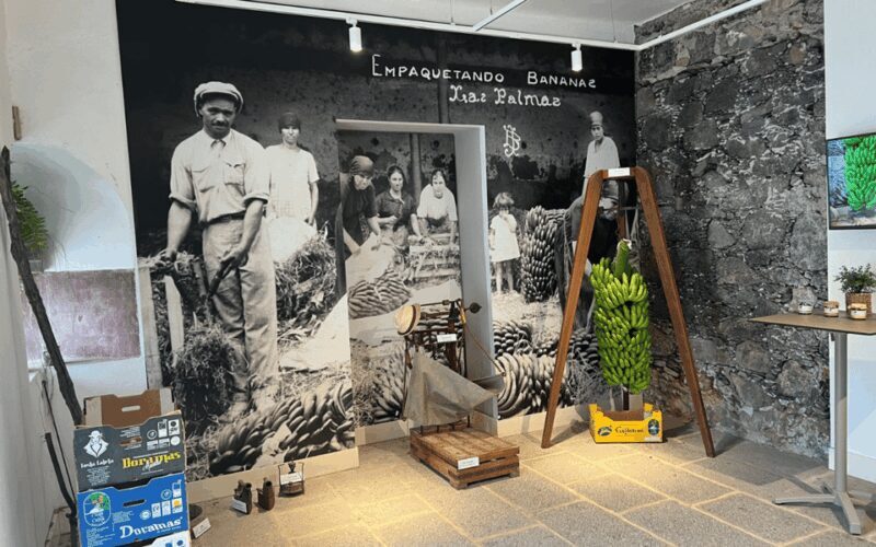 Gran Canaria: Rum, Wines and Banana Tour - Frequently Asked Questions