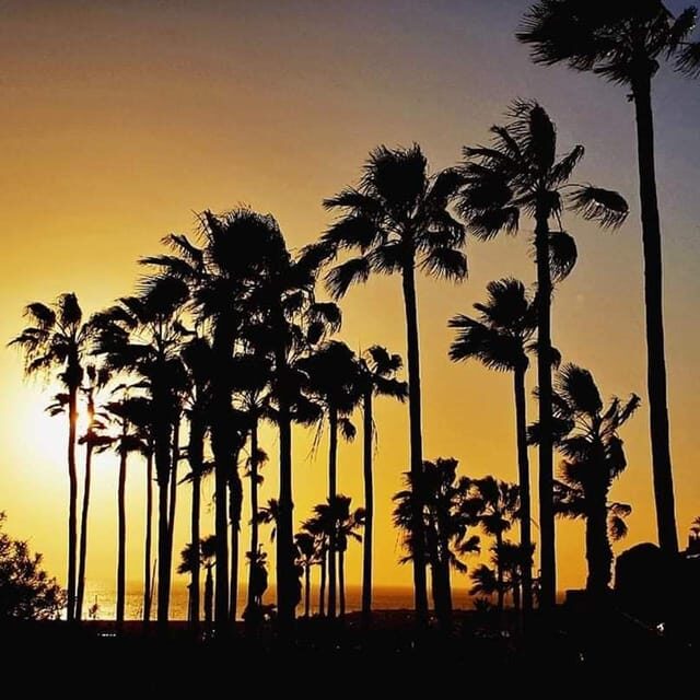 Gran Canaria: Scuba Diving for Beginners - The Sum Up