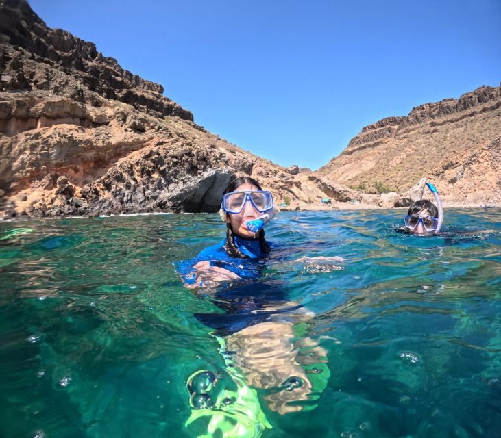 Gran Canaria: Snorkel tour with boat on the west coast - Key Points