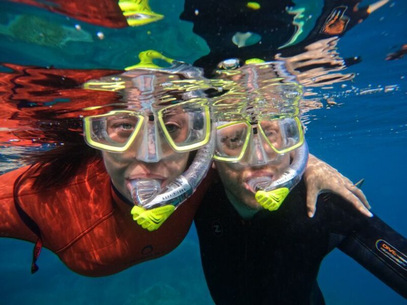 Gran Canaria: Snorkel tour with boat on the west coast - Snorkeling Experience: What to Expect