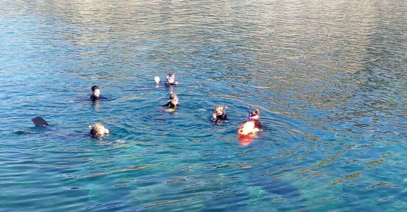 Gran Canaria: Snorkeling Trip - Price & Value