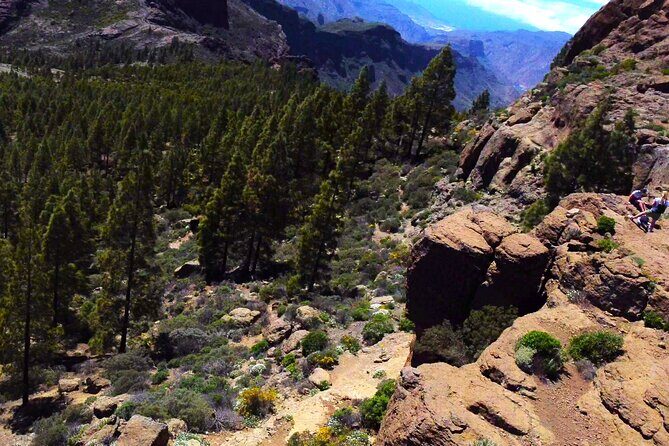 Gran Canaria: South PRIVATE 4K Holiday Video Tour Experience - Who Should Consider This Tour?