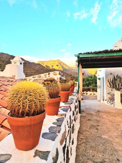 Gran Canaria: Spanish Tapas and Wine Tasting Tour in Mogan - Final Thoughts