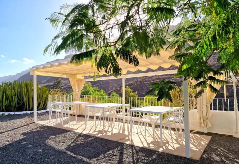 Gran Canaria: Tasting wine & local cheese in Mogan - Who Is This Tour For?