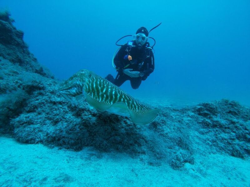 Gran Canaria: Try Scuba Diving for Beginners - Frequently Asked Questions