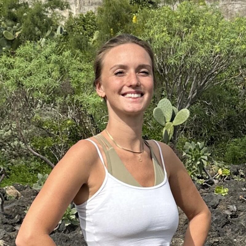 Gran Canaria: Volcano Sunset Tour and Local Food Tasting - Discovering the Volcanic Wonders of Gran Canaria