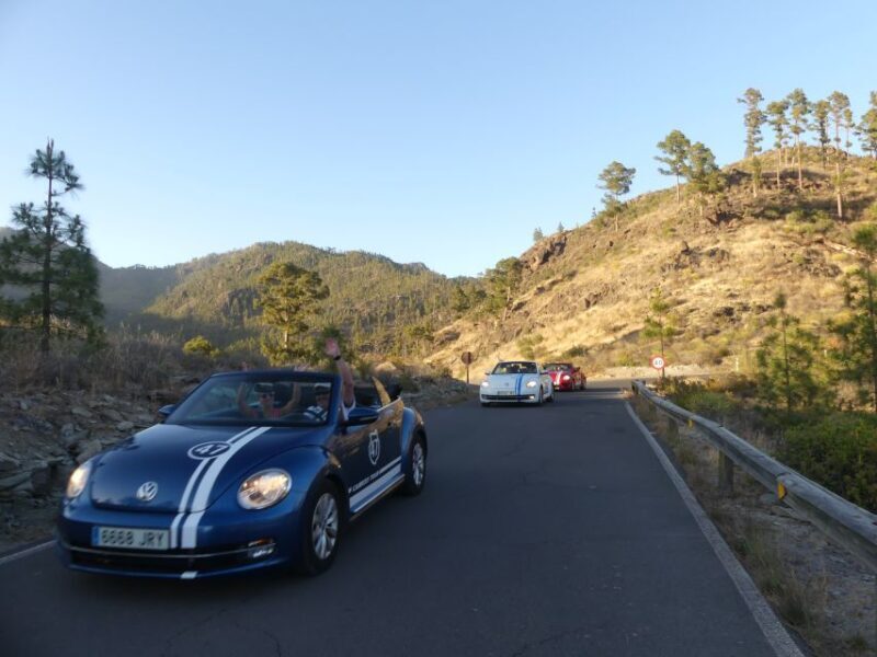 Gran Canaria : West coast Cabrio Sunset - Who Should Consider This Tour?