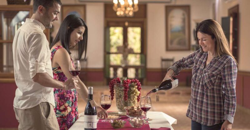 Gran Canaria: Winery Tour, Wine Museum, and Tasting - Key Points