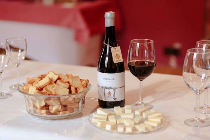 Gran Canaria: Winery Tour, Wine Museum, and Tasting - What the Tour Entails: A Step-by-Step Breakdown