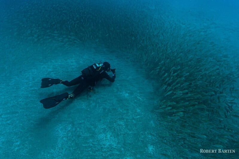 Gran Canaria:Live an Adventure and Learn to Dive with Expert - Practical Details
