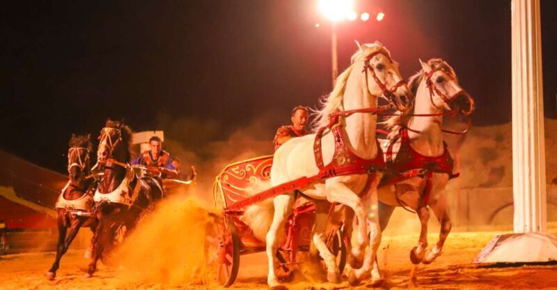 Gran Circus Maximus Entrada + transporte - Discover the Arena: Gran Circus Maximus Entrada + transporte in Villajoyosa