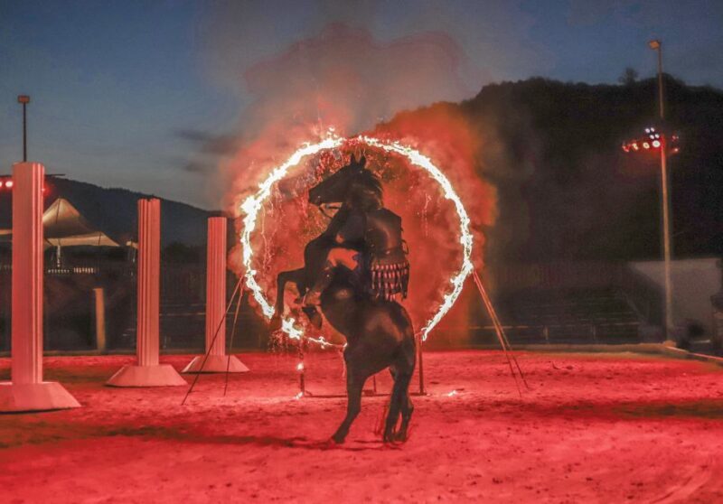 Gran Circus Maximus Entrada + transporte - Who Will Love This Tour?