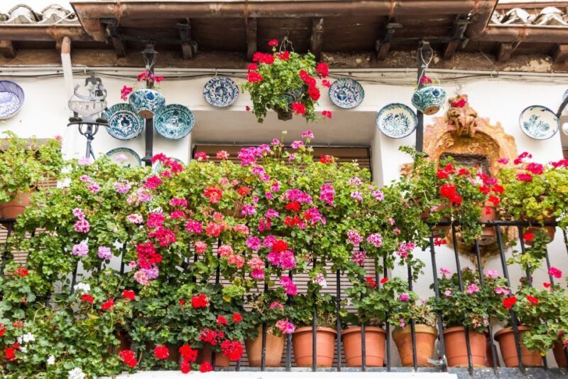 Granada: 2hour Tour of The Albaicín & Sacromonte Premium - Authentic Experiences & What Travelers Love