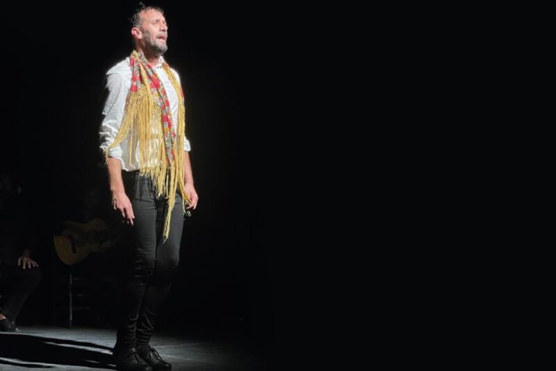 Granada: Albaicín & Sacromonte Walking Tour & Flamenco Show - Practical Details & Value