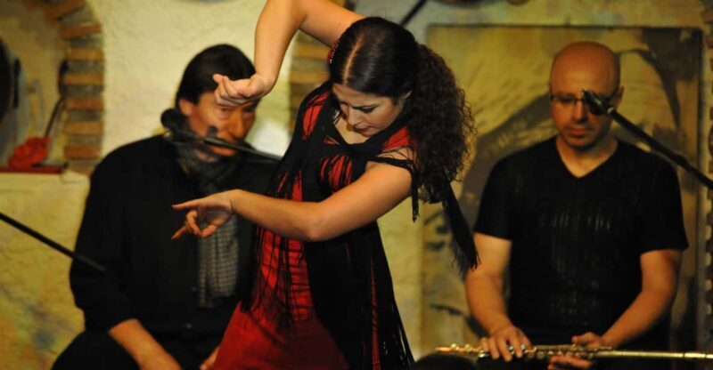 Granada: Alhambra Guided Tour and Flamenco Show - The Flamenco Experience: What’s It Like?