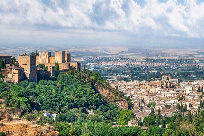 Granada Alhambra or Free Tour from Malaga - The Experience in Detail: What to Expect