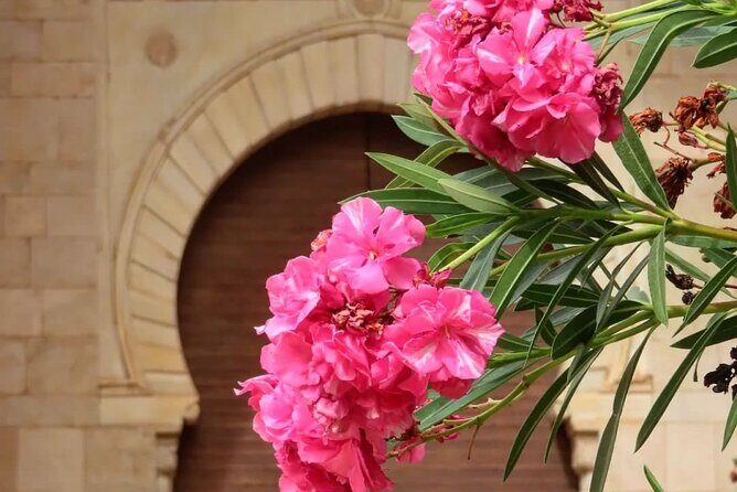 Granada : Alhambra Prestige Group Tour (VIP tickets included) - Final Thoughts