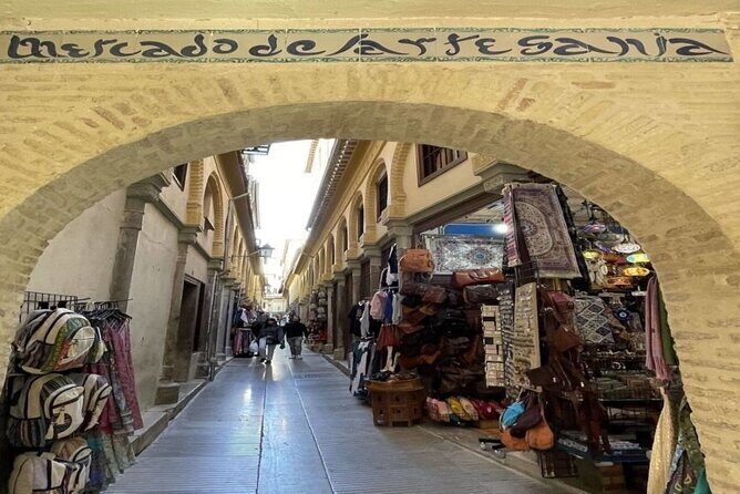 Granada Alhambra Private Tour from Motril Puerto - Who is this tour best suited for?