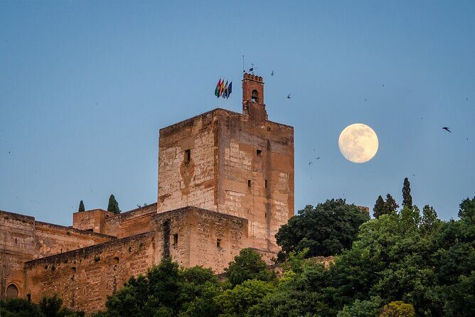 Granada and The Alhambra Private Tour From Malaga - The Itinerary: What to Expect