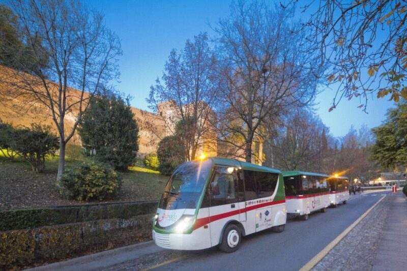 Granada City Train 1 or 2-Day Hop-On Hop-Off Ticket - Who Should Consider This Tour?
