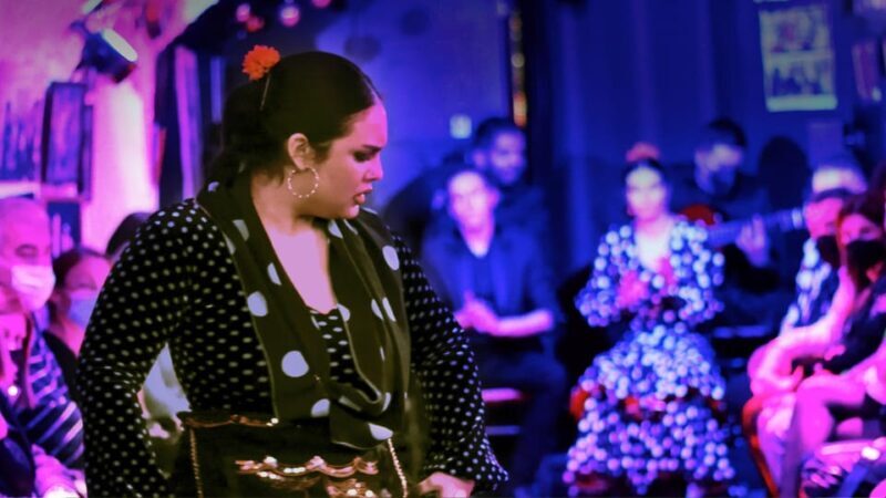 Granada: Flamenco Show at Cueva de la Rocío - Key Points