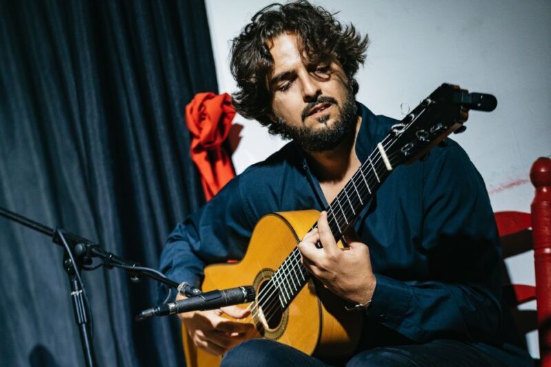 Granada: Flamenco Show in La Alboreá - The Sum Up