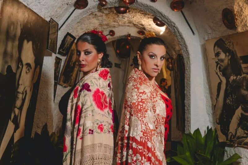 Granada: Flamenco Show with Drink or Dinner at Venta El Gallo - What to Expect from the Flamenco Performance