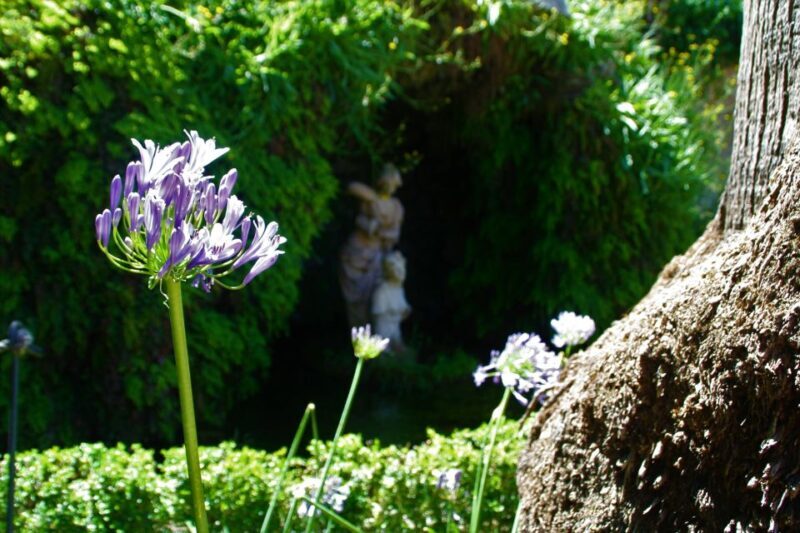 Granada: Gardens of Carmenes Guided Tour - A Deep Dive into the Carmenes Experience