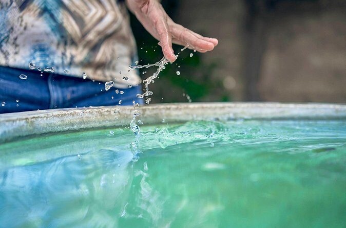 Granada Hybrid Walking Tour: Albayzin and Sacromonte - Final Thoughts