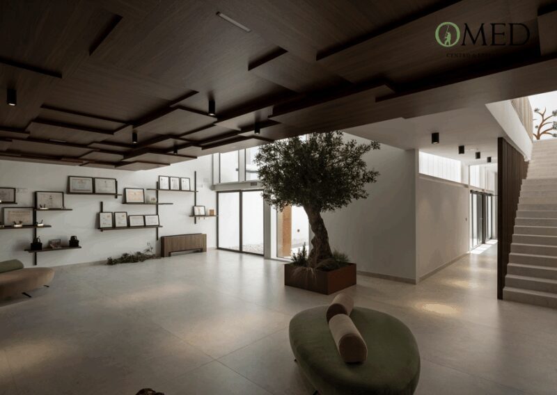 Granada in EVOO: Olive grove guided tour and sensory tasting - Who Will Love This Tour?