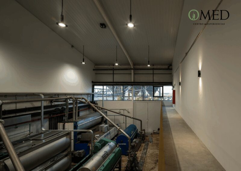 Granada in EVOO: Olive grove guided tour and sensory tasting - FAQ