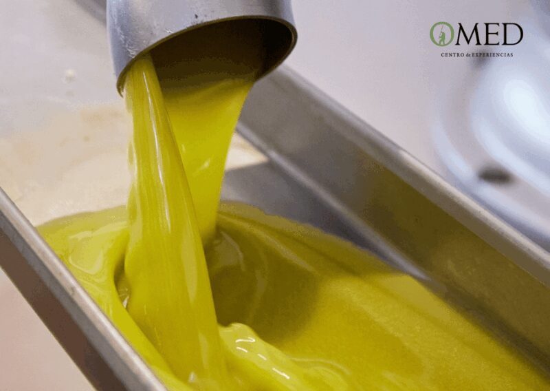 Granada in EVOO: Olive grove guided tour and sensory tasting - Final Thoughts