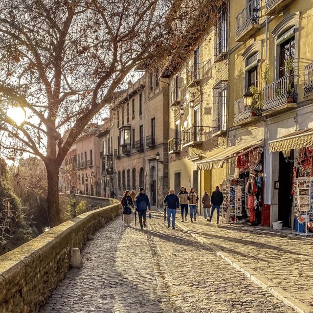 Granada in full: Historic Centre, Albaicín & Sacromonte - Who Should Consider This Tour?