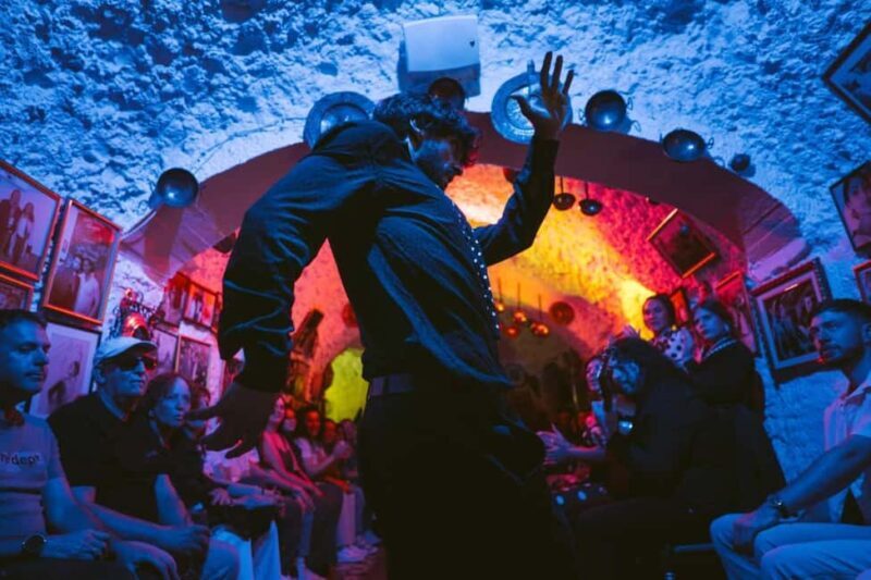 Granada: Los Amayas Cave Flamenco Show in Sacromonte - The Performers and Their Craft