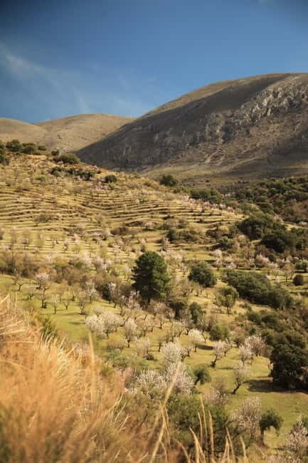 Granada: Nature, Wildlife and Authentic Villages E-bike Tour - Authentic Experiences That Stick With You