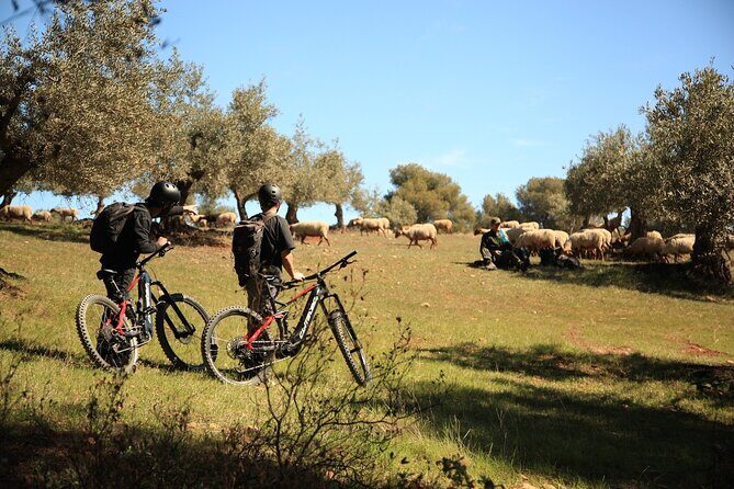 Granada: Nature, Wildlife and Authentic Villages E-bike Tour - Authenticity, Food, and Cultural Touches
