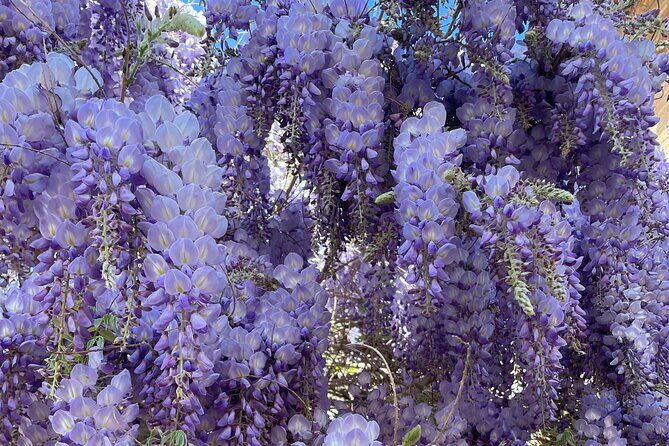 Granada : Private Alhambra Tour + Nazaries Palaces (VIP) - FAQ